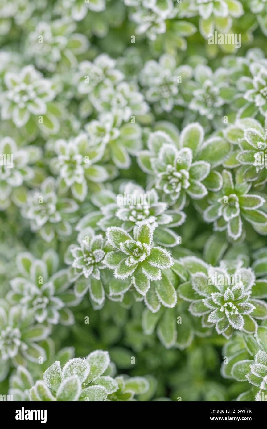 Frozen countryside metaphor hi-res stock photography and images - Alamy