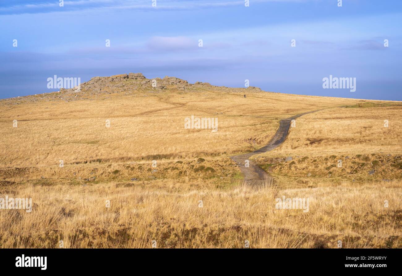 A walker with dog descending Rowtor or Row Tor, an accessible tor in ...