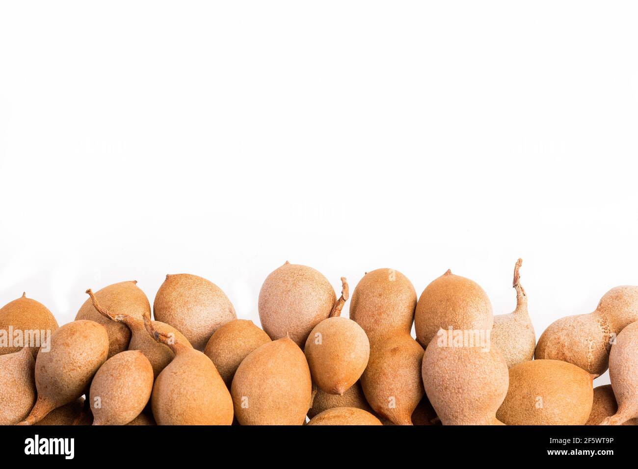 Tamarind tropical fruit - Tamarindus indica. White background Stock ...