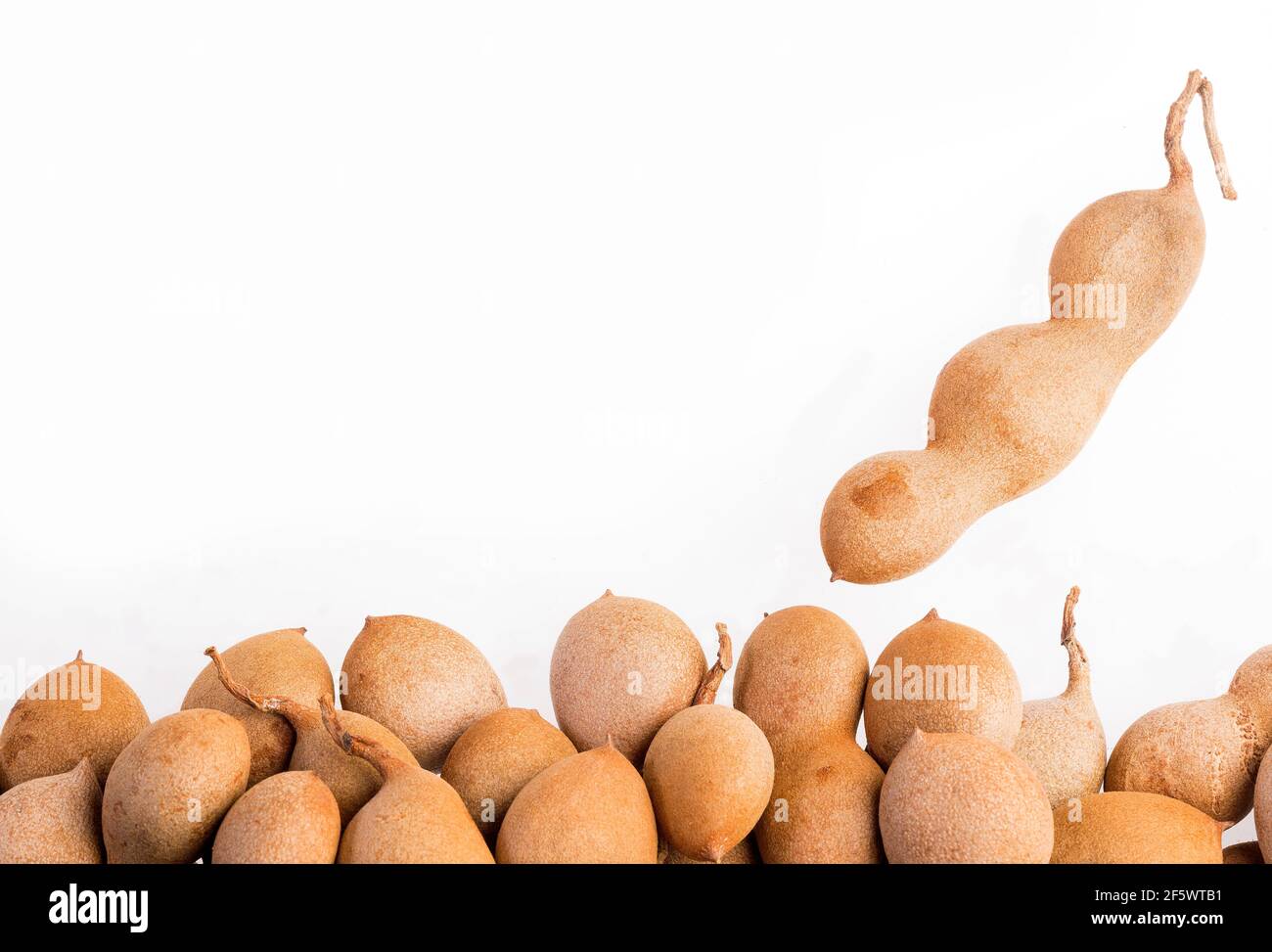 Tamarind tropical fruit - Tamarindus indica. White background Stock ...
