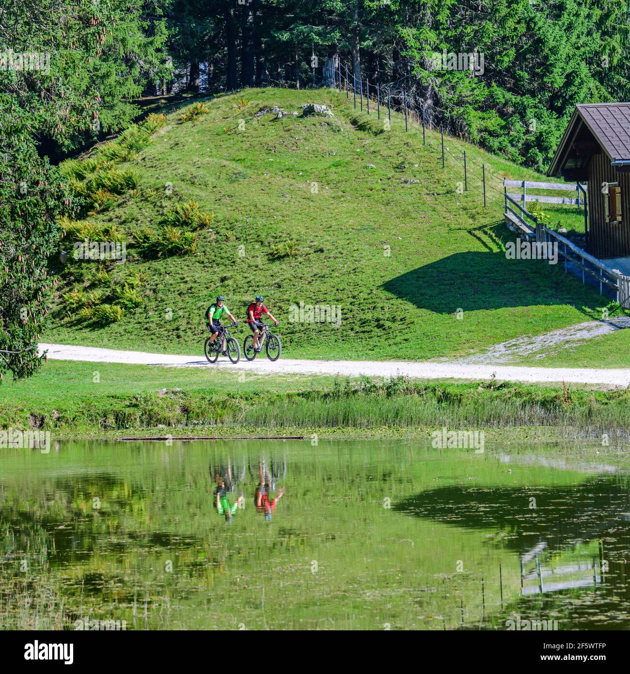 Two friends cycling in beautiful alpine nature Stock Photo - Alamy