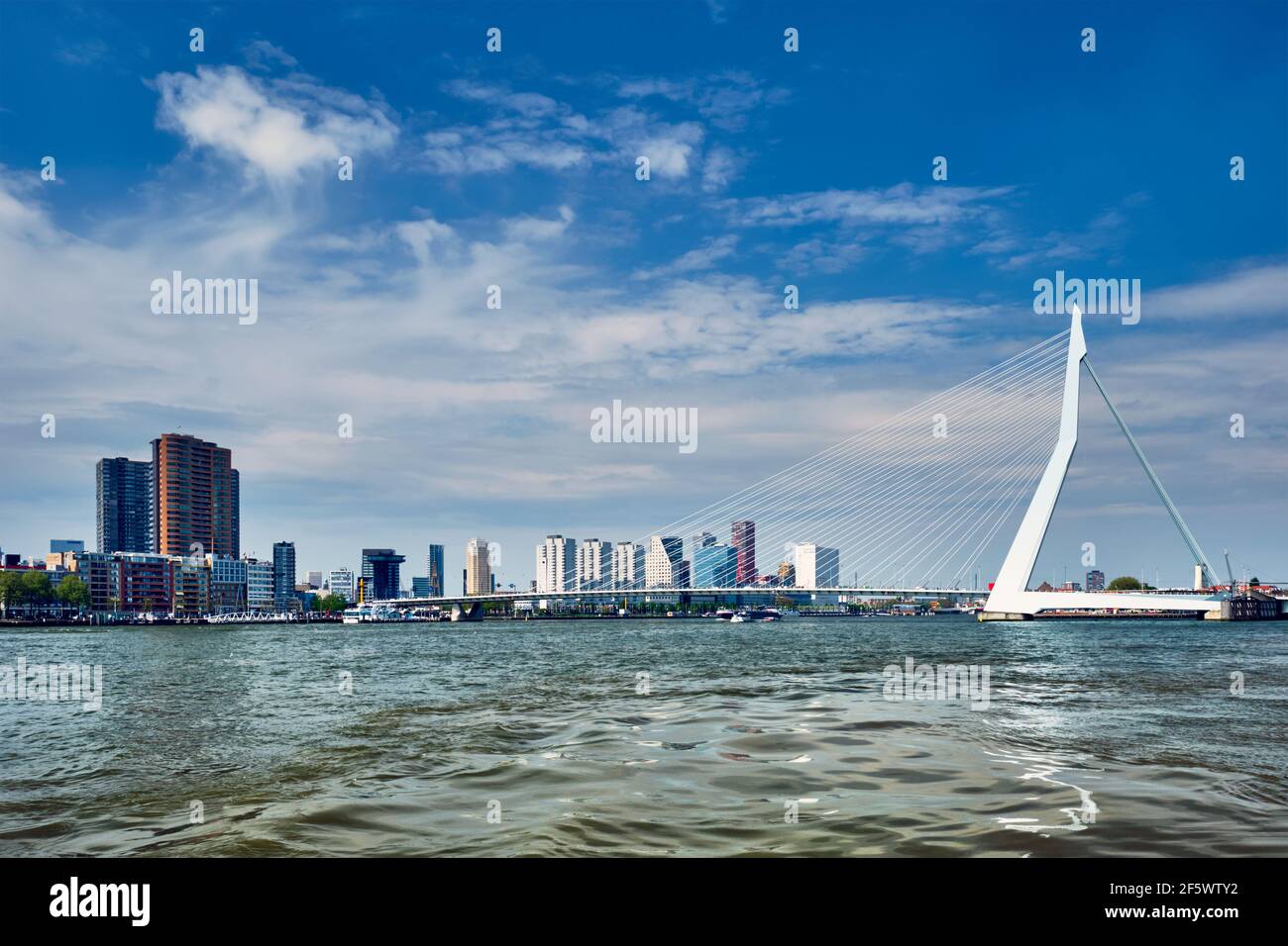 View of Rotterdam over Nieuwe Maas with Erasmusbrug bridge. Rottherdam ...