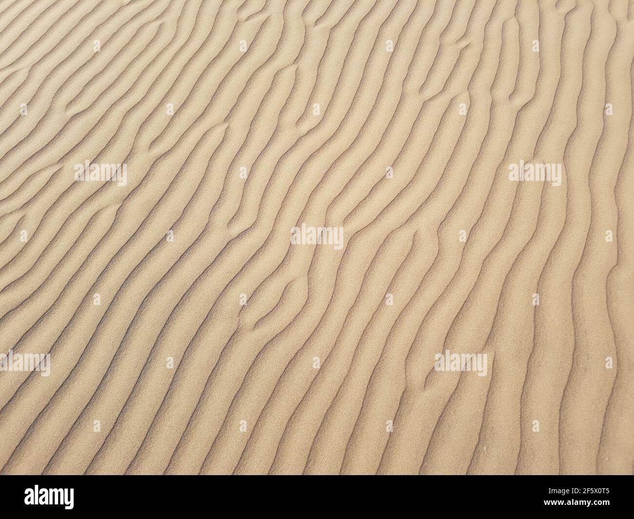 Transverse dune hi-res stock photography and images - Alamy