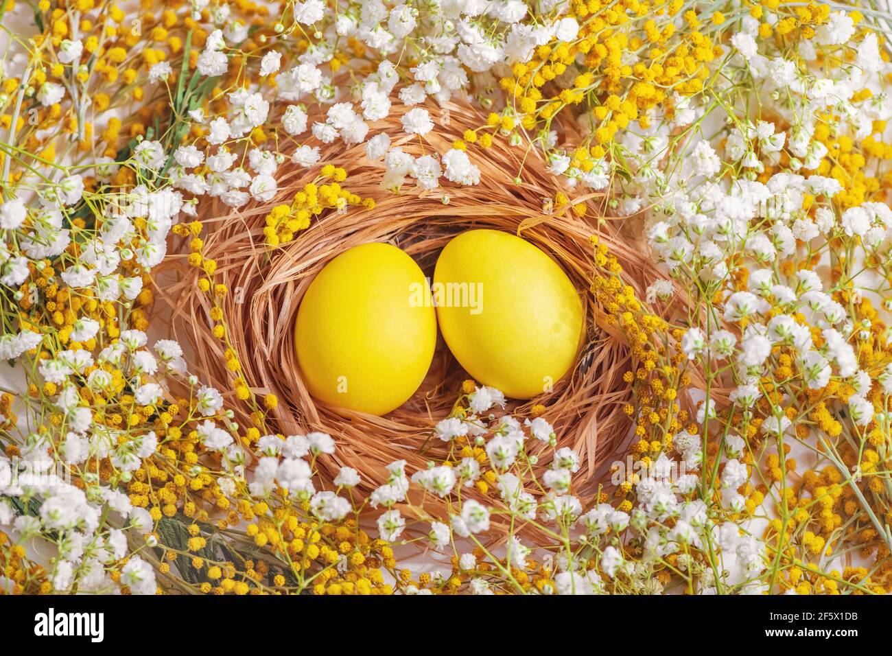 yellow Easter eggs among white and yellow flowers. gypsophila and ...