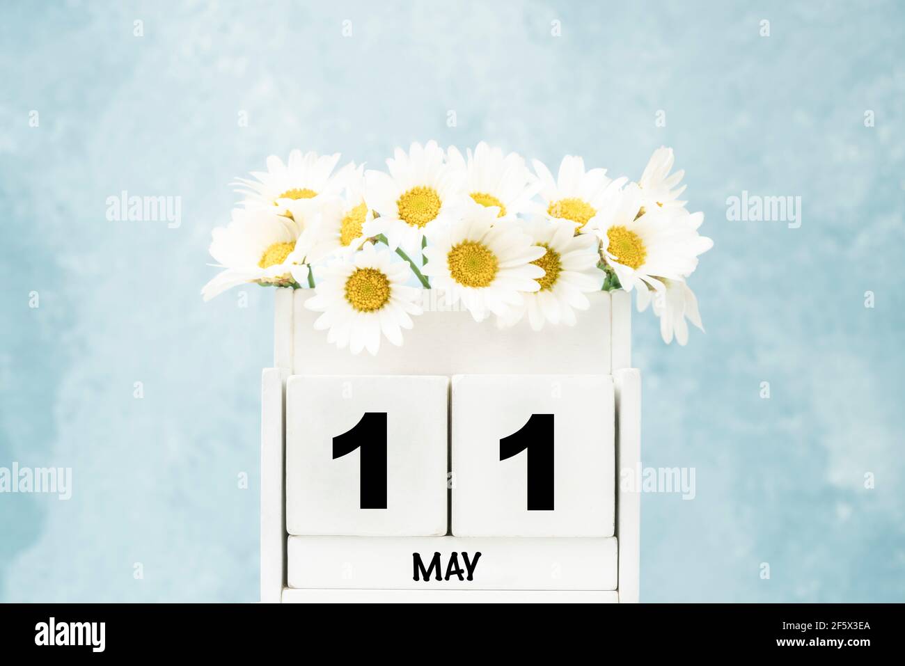 White cube calendar for May with daisy flowers over blue background ...
