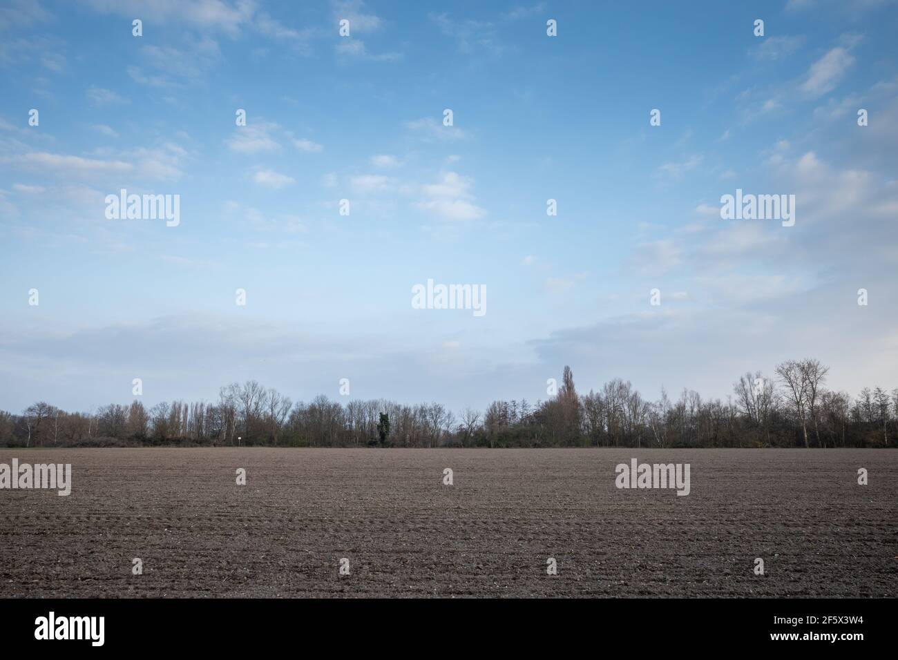 Outdoor sunny horizontal view, row of soil mound, preparing soil for ...