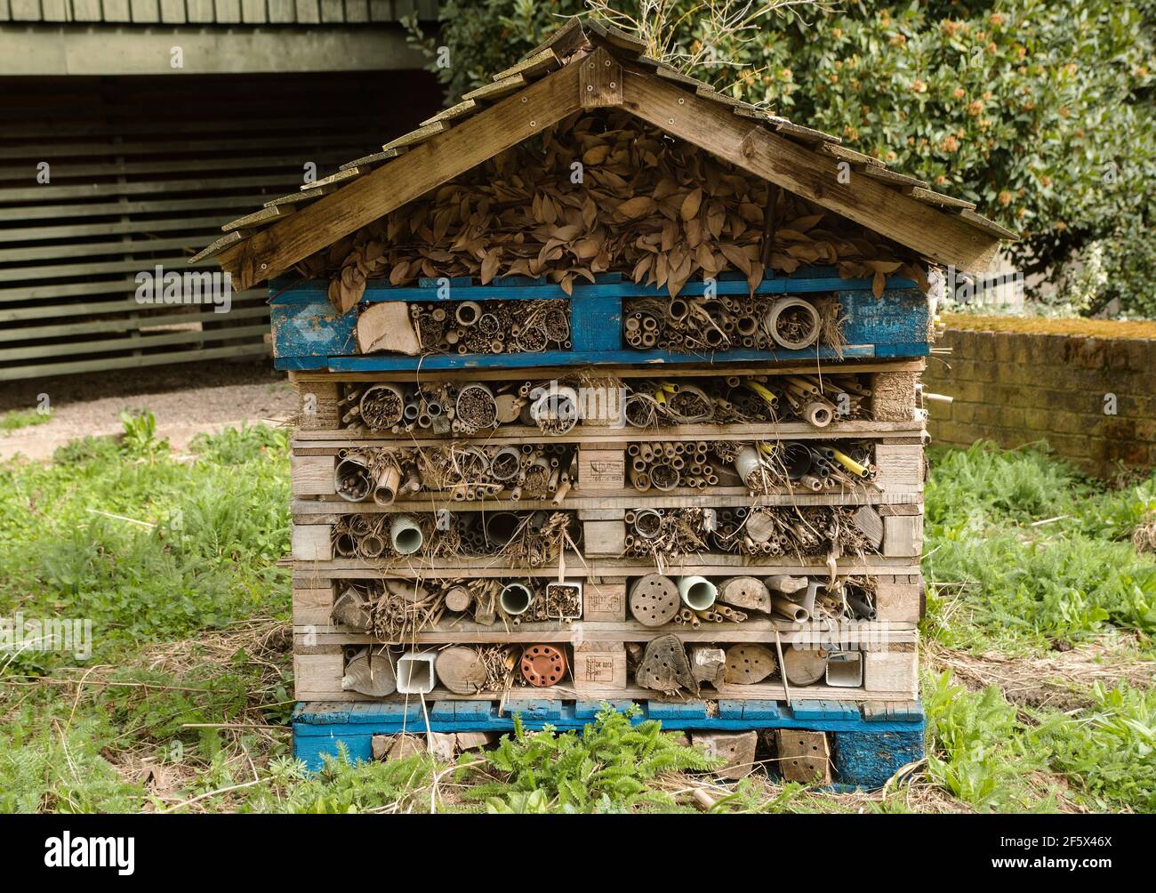 Holes stuffed with leaves hi-res stock photography and images - Alamy