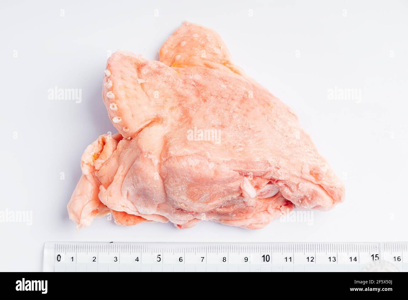 Raw chicken back on a white plate with a ruler to accurately determine ...