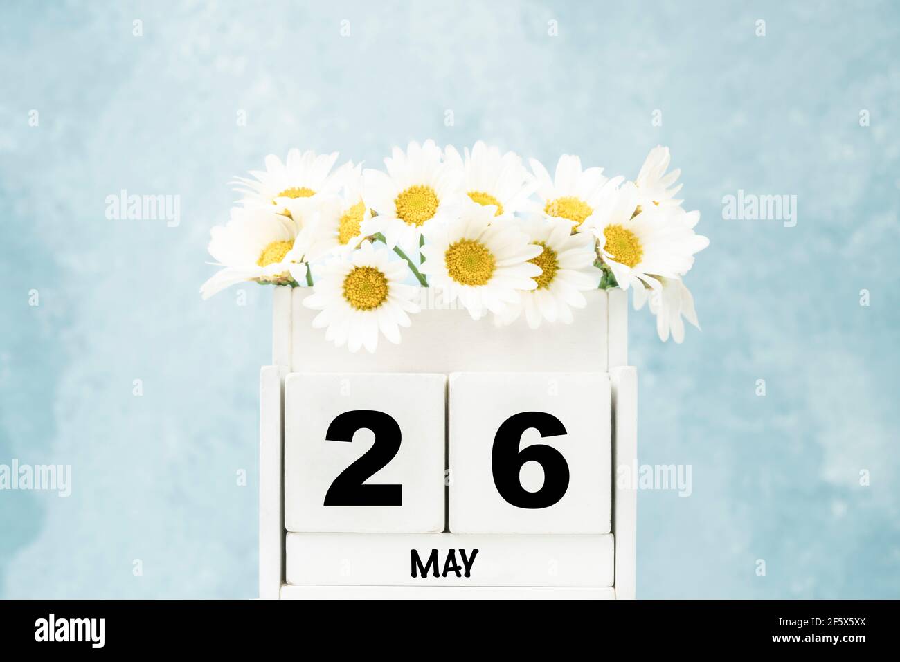 White cube calendar for May with daisy flowers over blue background ...