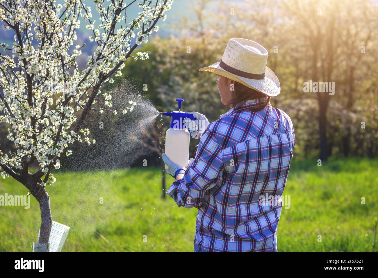 Herbicide water hi-res stock photography and images - Alamy