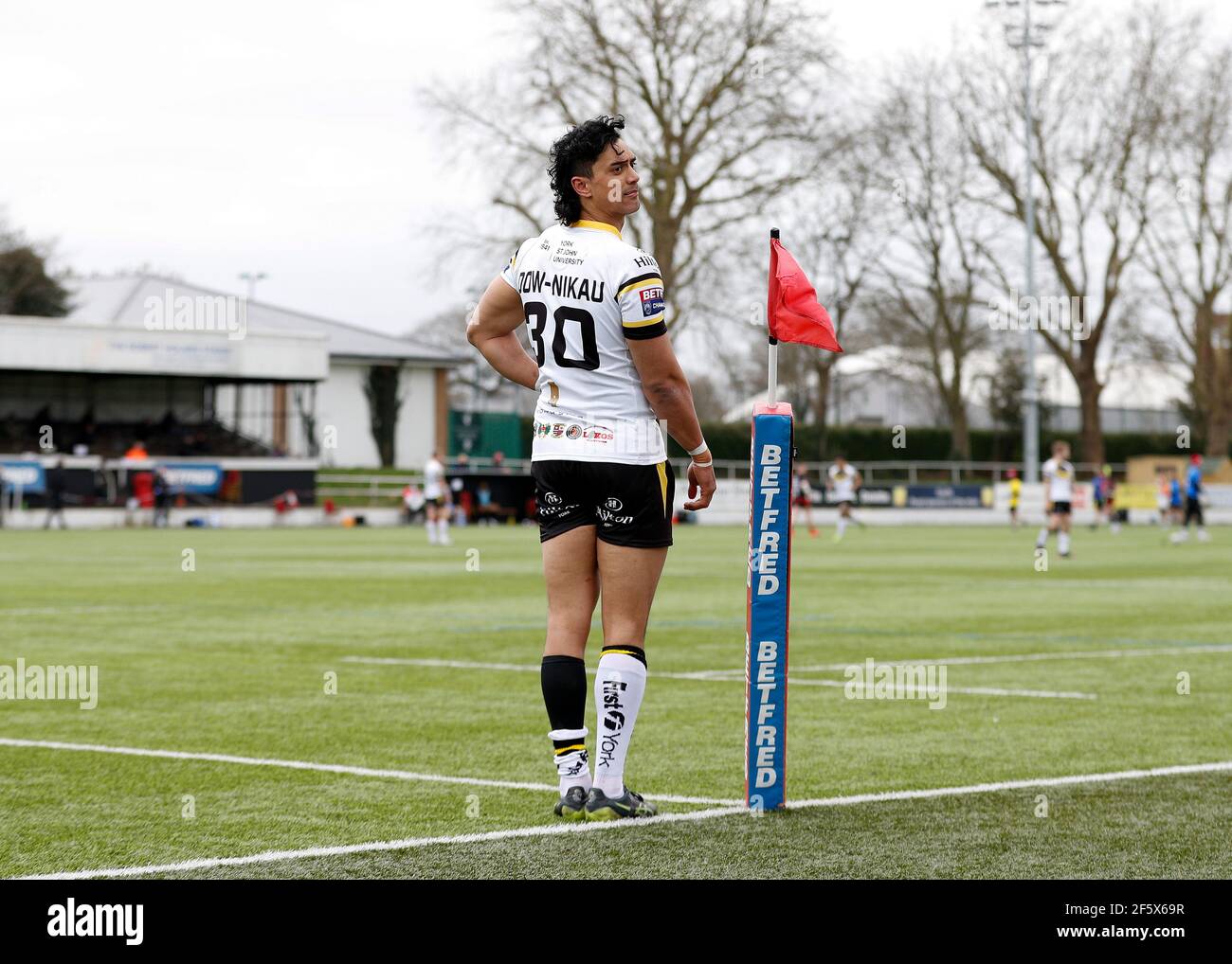 Tyme dow nikau hi-res stock photography and images - Alamy