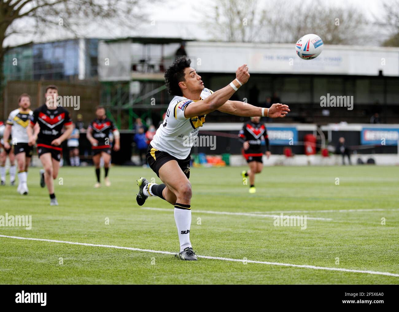 Tyme dow nikau hi-res stock photography and images - Alamy