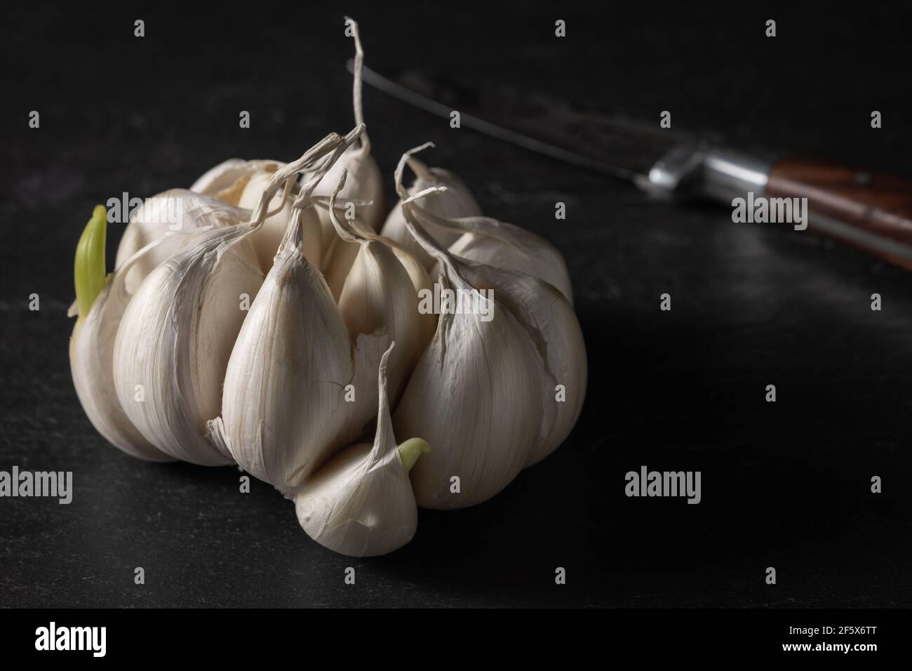 Bulb texture hi-res stock photography and images - Alamy