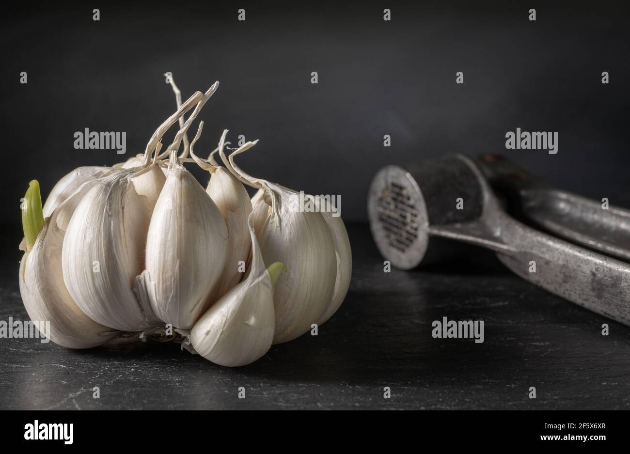 Garlic bulb and a garlic press Stock Photo - Alamy