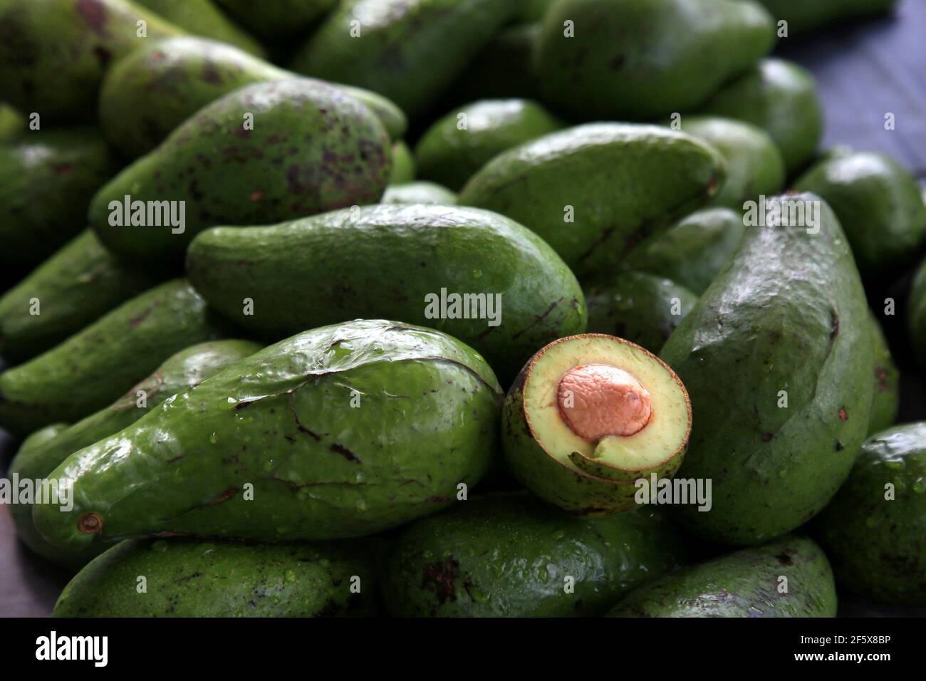 salvador, bahia, brazil - january 27, 2021: avocado fruit for sale at ...