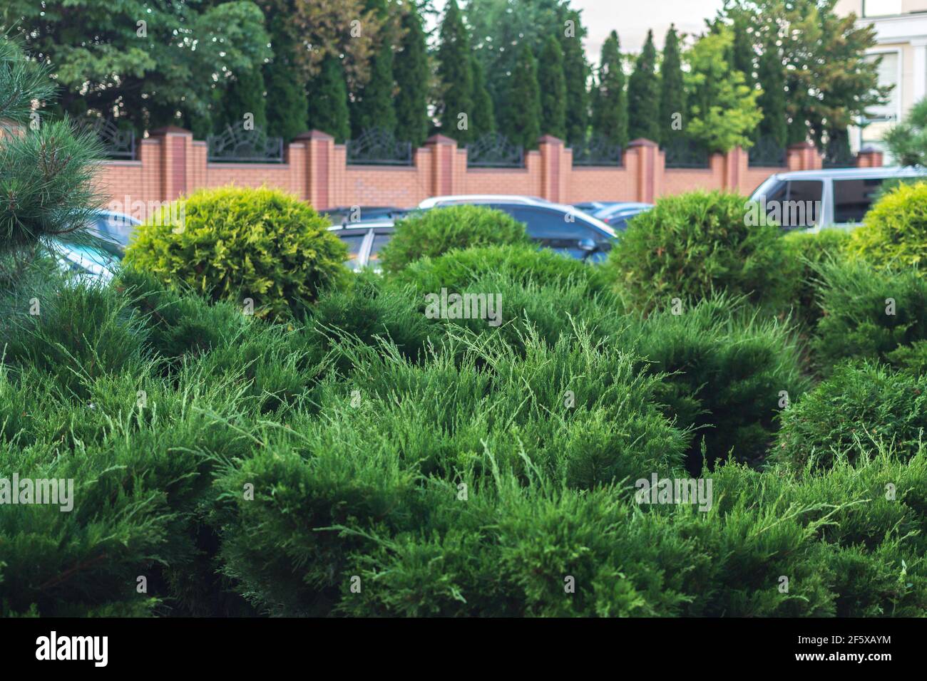 Beautiful scenery background car background hi-res stock photography ...