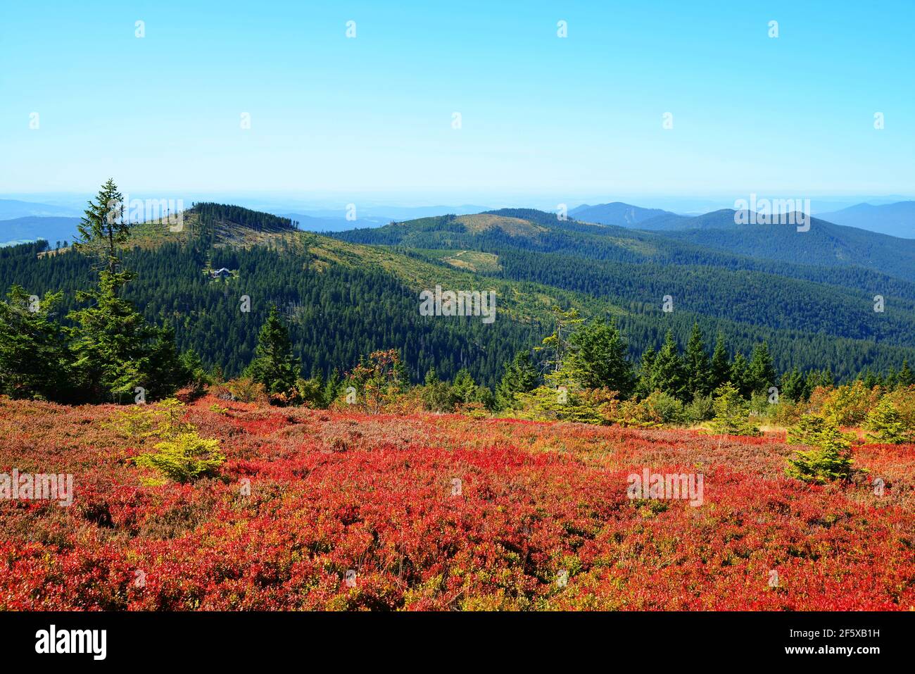 Autumn landscape in National park Bayerischer Wald, view from the ...