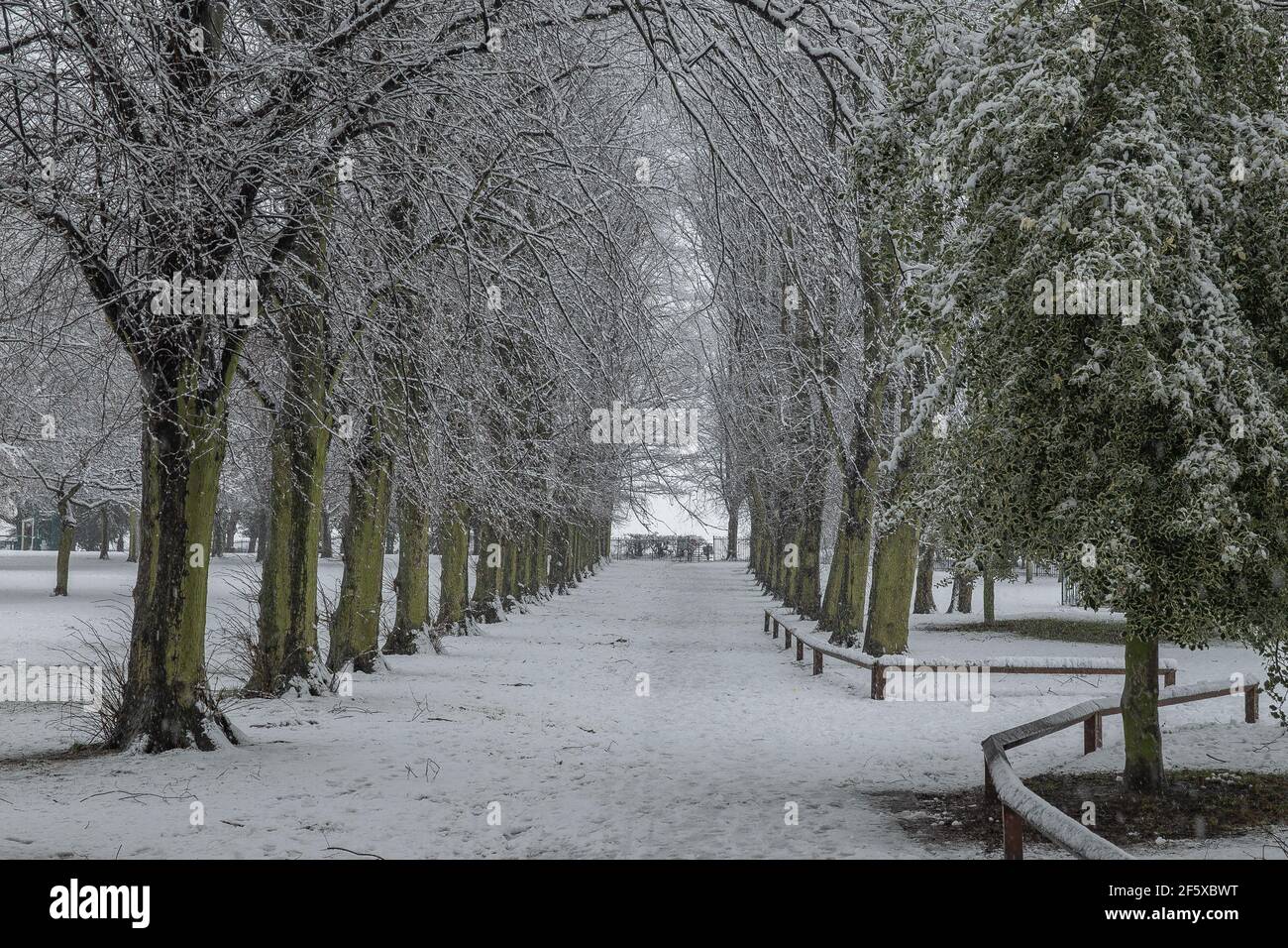 Cudworth hi-res stock photography and images - Alamy