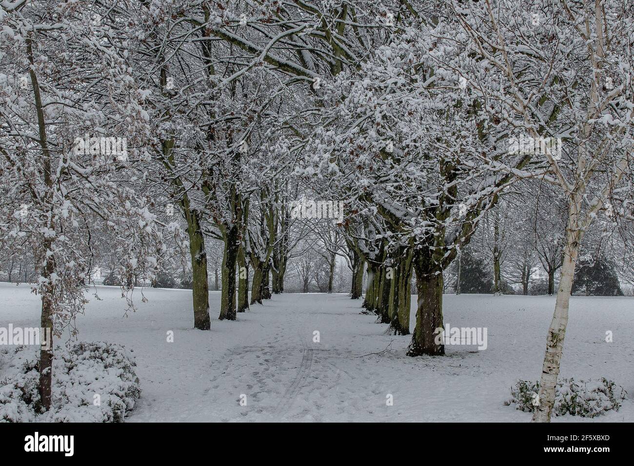 Cudworth hi-res stock photography and images - Alamy