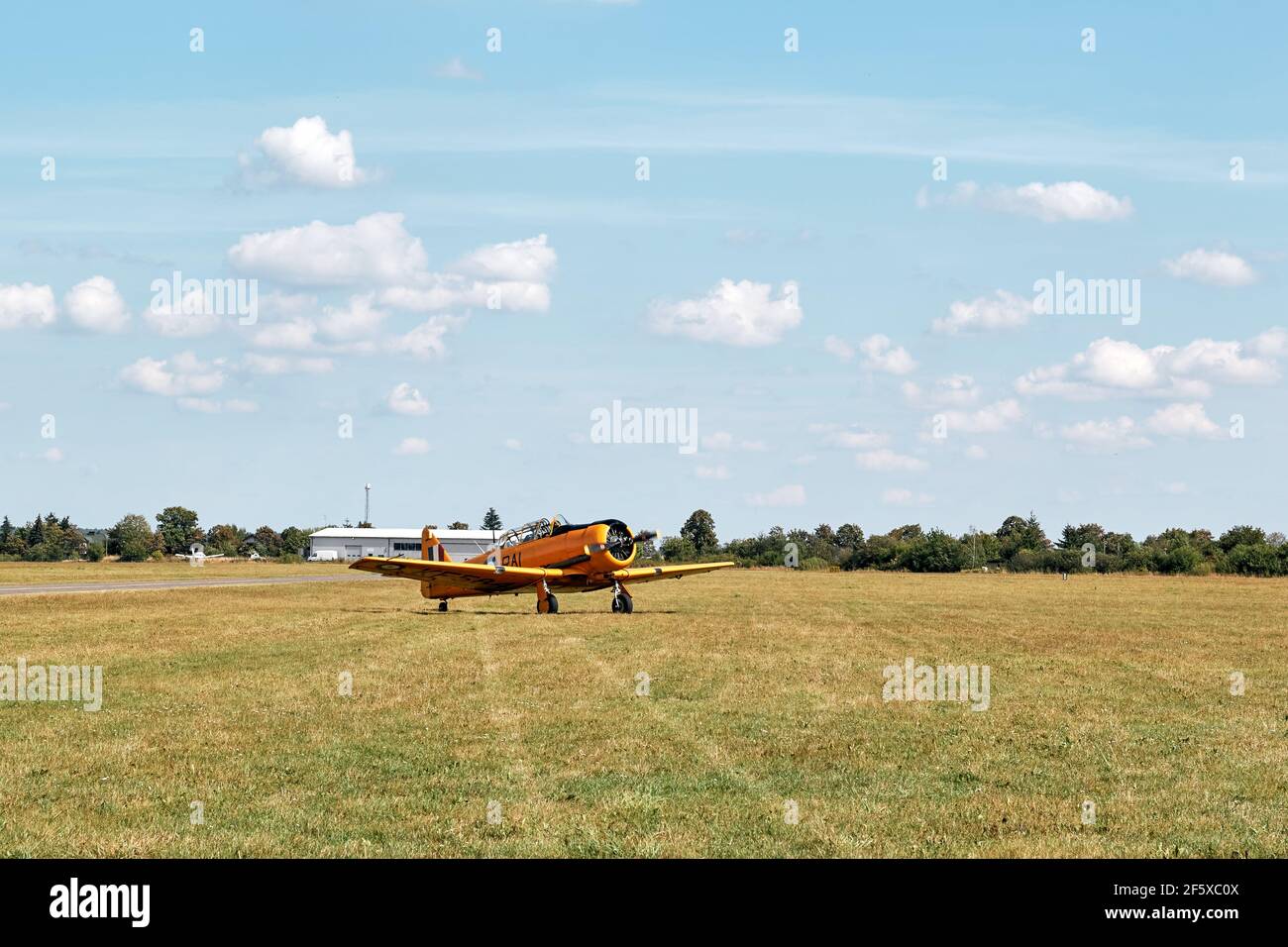 VIII International fly fest aviation exhibition 2020 in Piotrków ...
