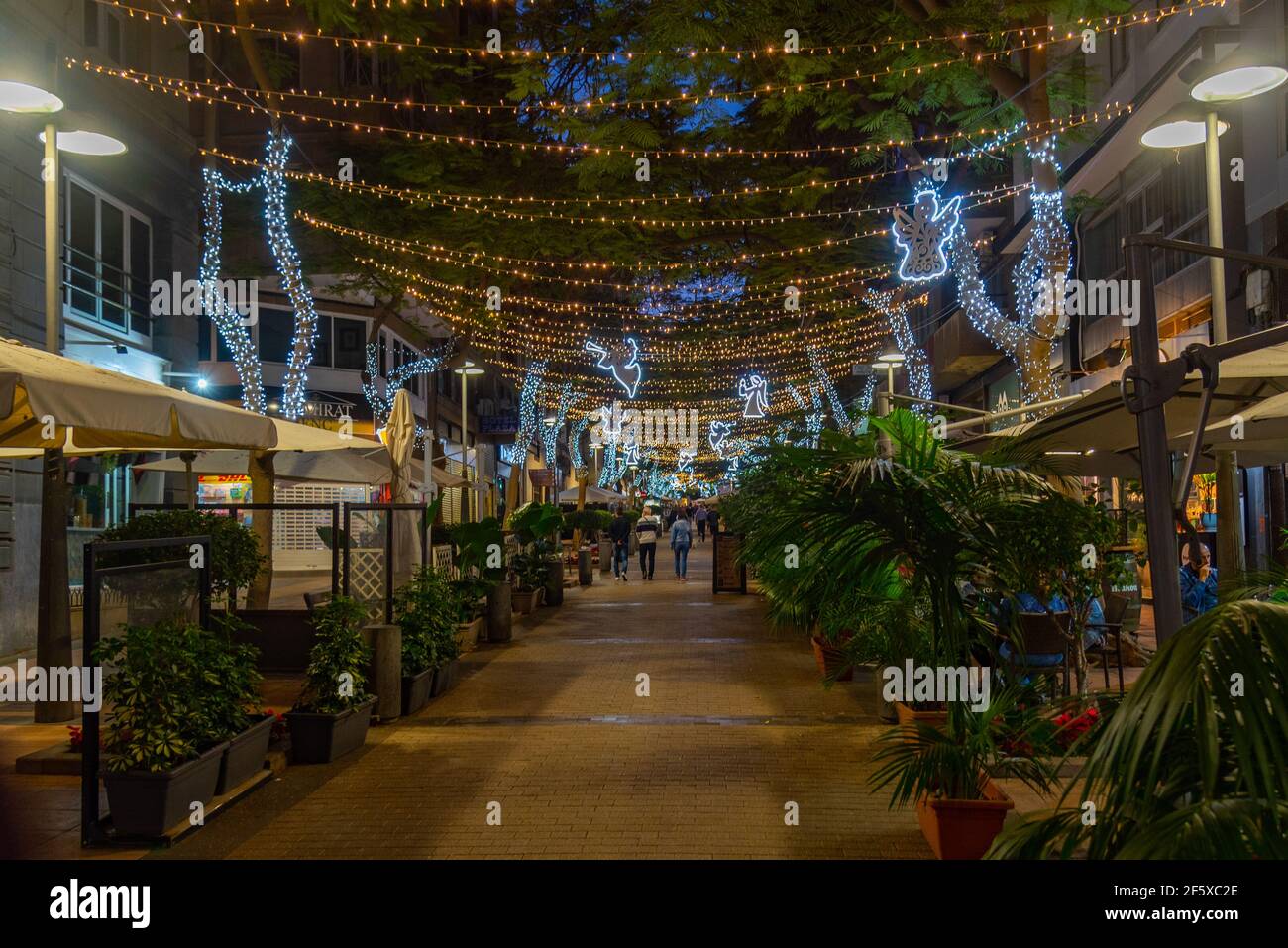 Santa Cruz, Spain, Janury 6, 2021: Night view of central street in the ...