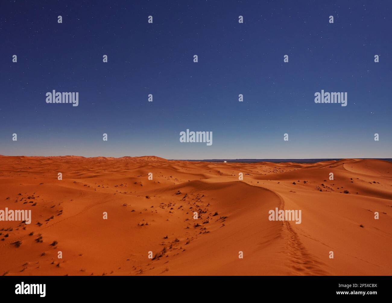 Stars at night over the dunes, Sahara Desert, Merzouga, Morocco Stock ...