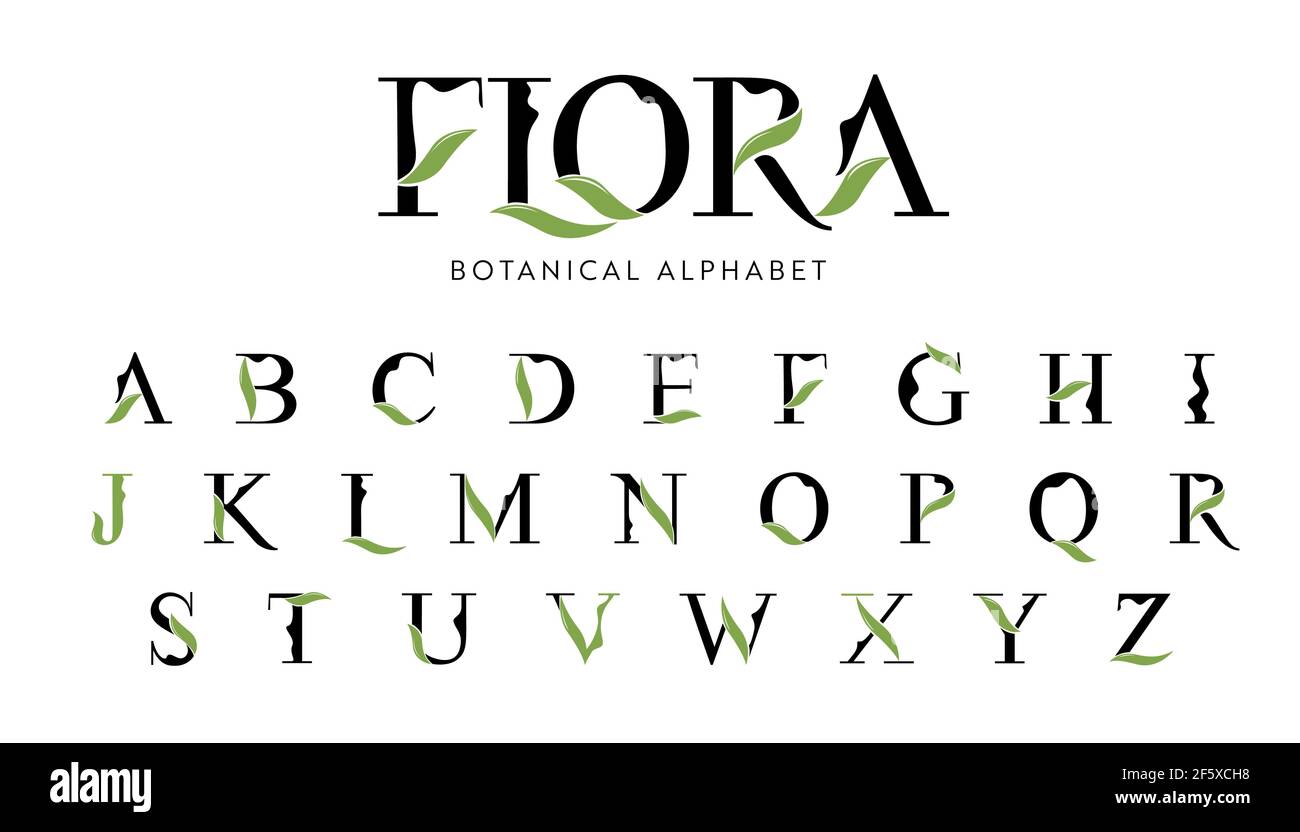 Vector Floral Alphabet with decorative leafs elements. Modern elegance ...