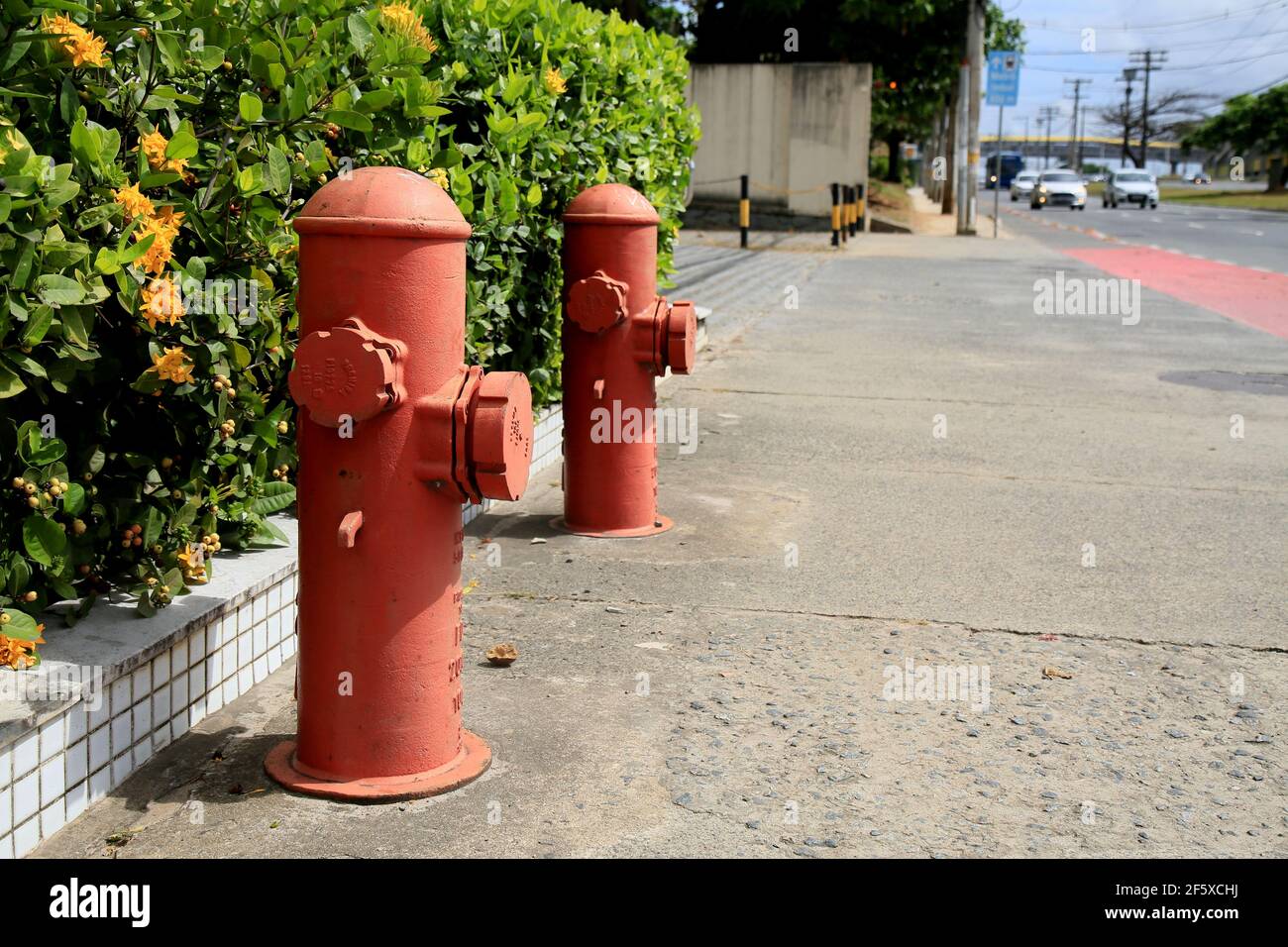 Chuck hydrant hi-res stock photography and images - Alamy