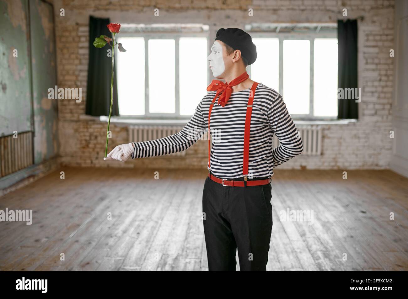 Clown rose hi-res stock photography and images - Alamy