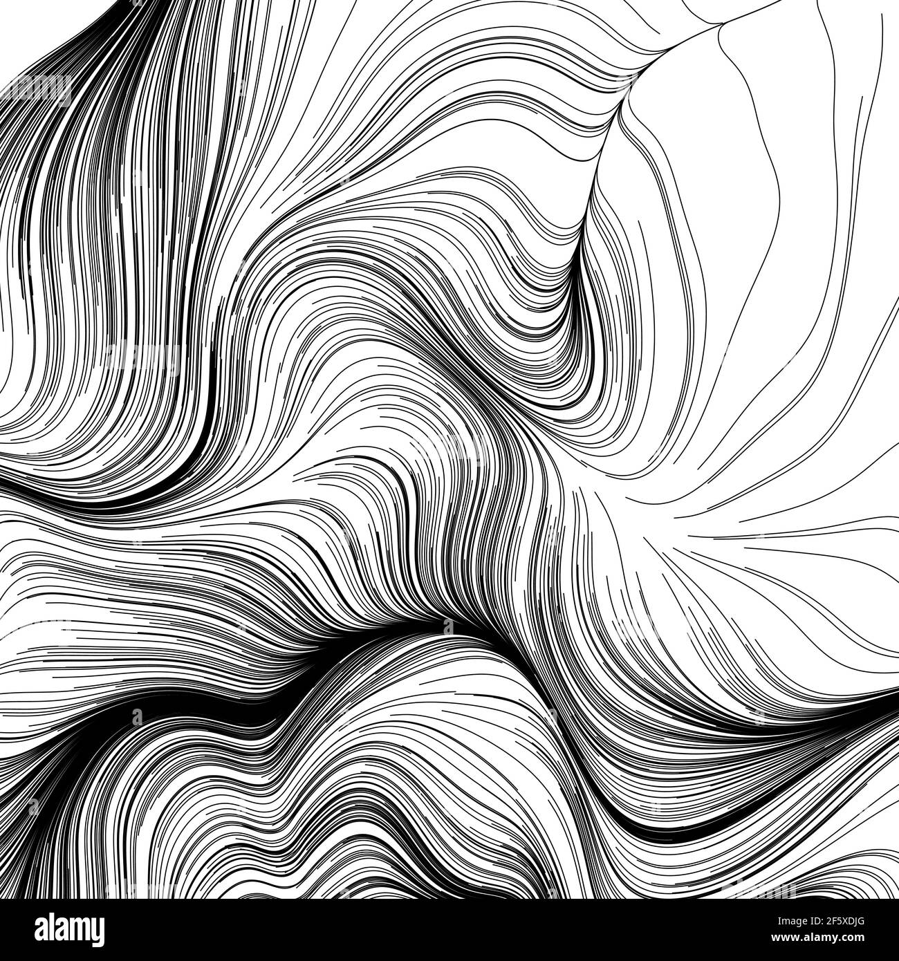 Curved Lines Design Element