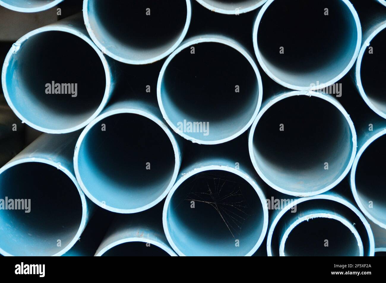 Tube Web Spider High Resolution Stock Photography and Images - Alamy