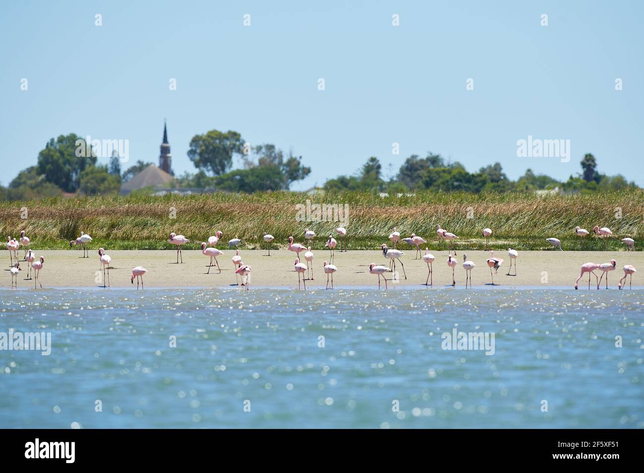 Berg river hi-res stock photography and images - Alamy