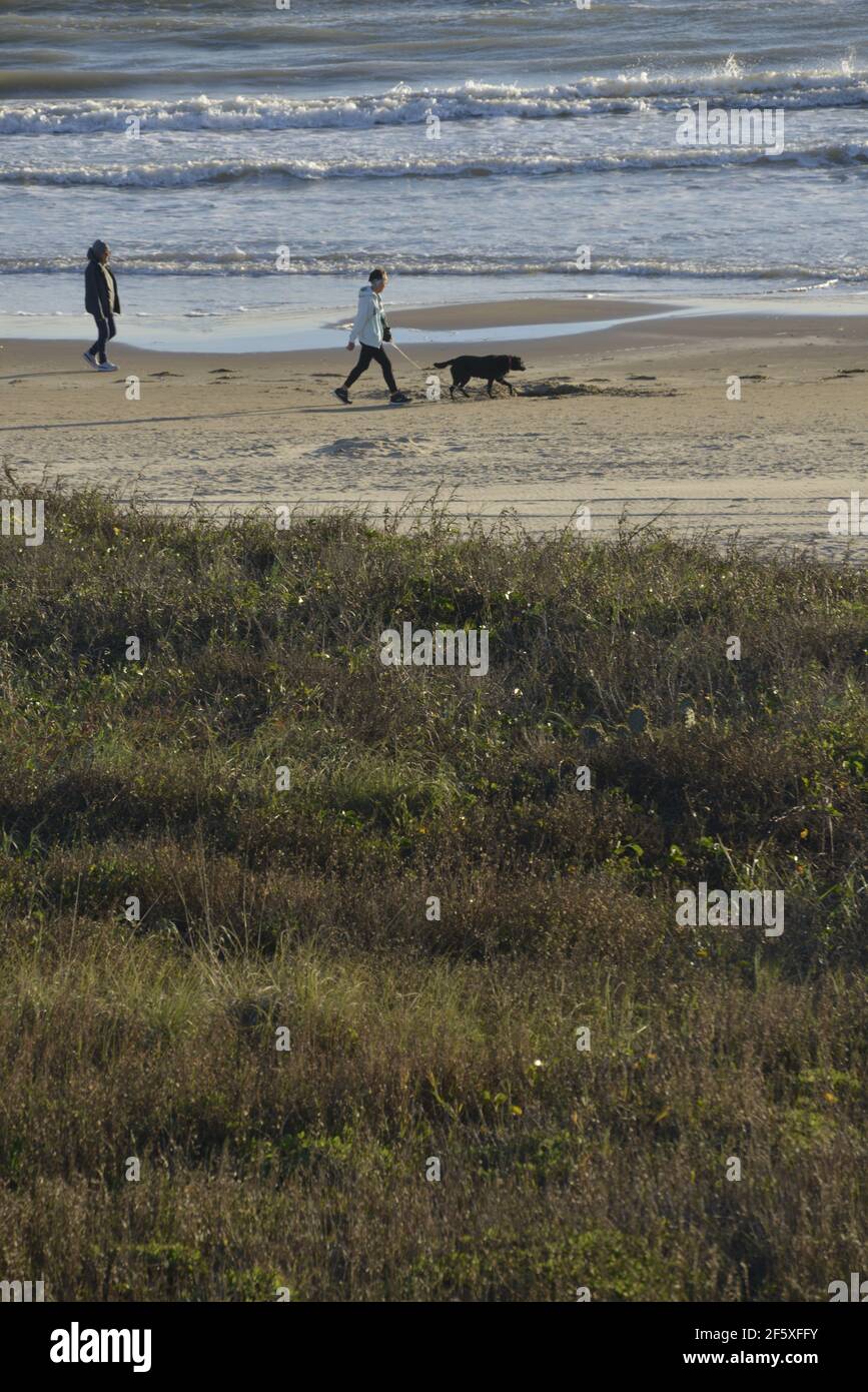 Beach and ocean waves on a Texas beach Stock Photo - Alamy