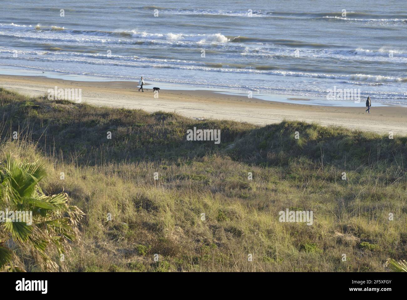Beach and ocean waves on a Texas beach Stock Photo - Alamy