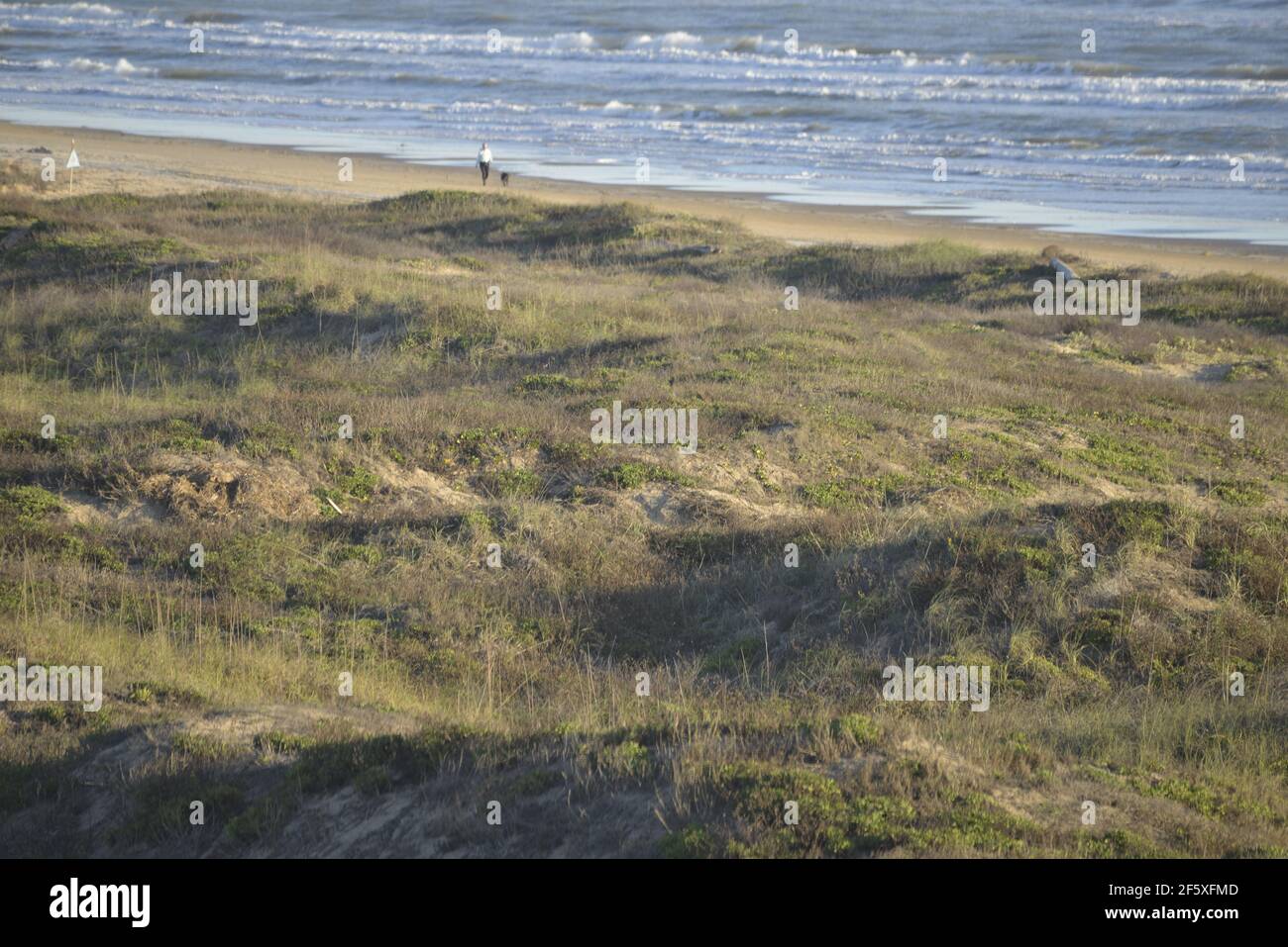 Beach and ocean waves on a Texas beach Stock Photo - Alamy