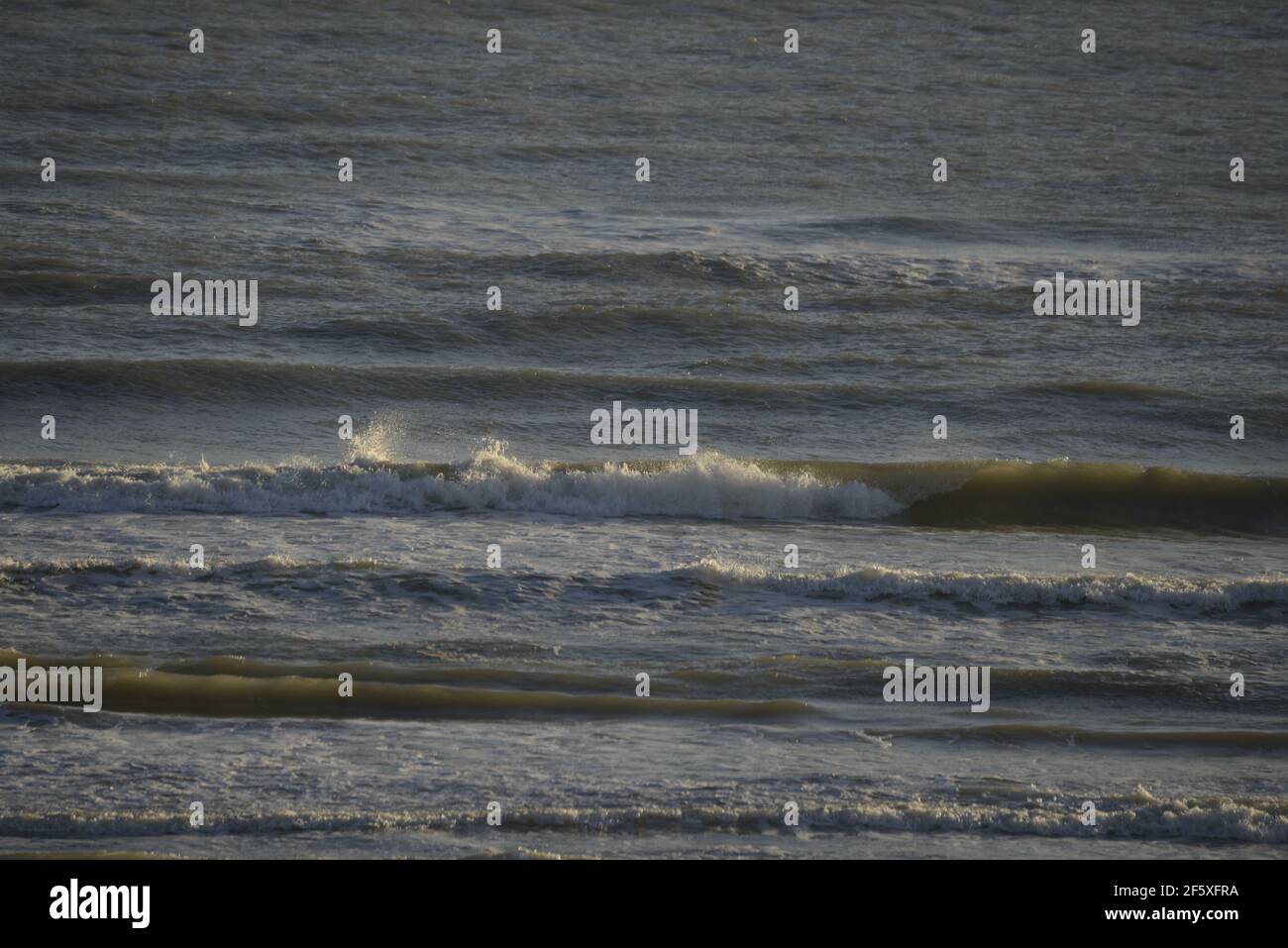 Beach and ocean waves on a Texas beach Stock Photo - Alamy