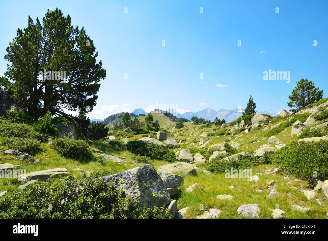 Beautiful mountain landscape in Neouvielle national nature reserve ...