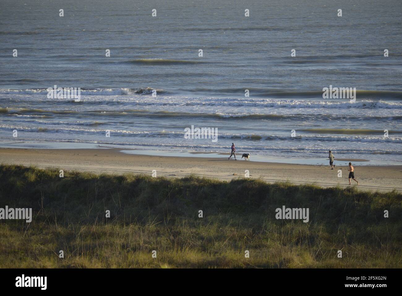 Beach and ocean waves on a Texas beach Stock Photo - Alamy