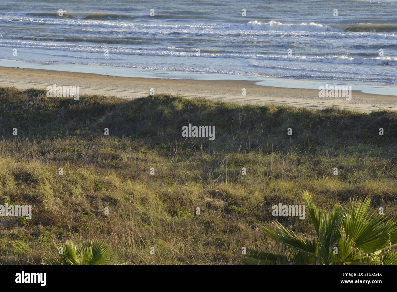 Beach and ocean waves on a Texas beach Stock Photo - Alamy