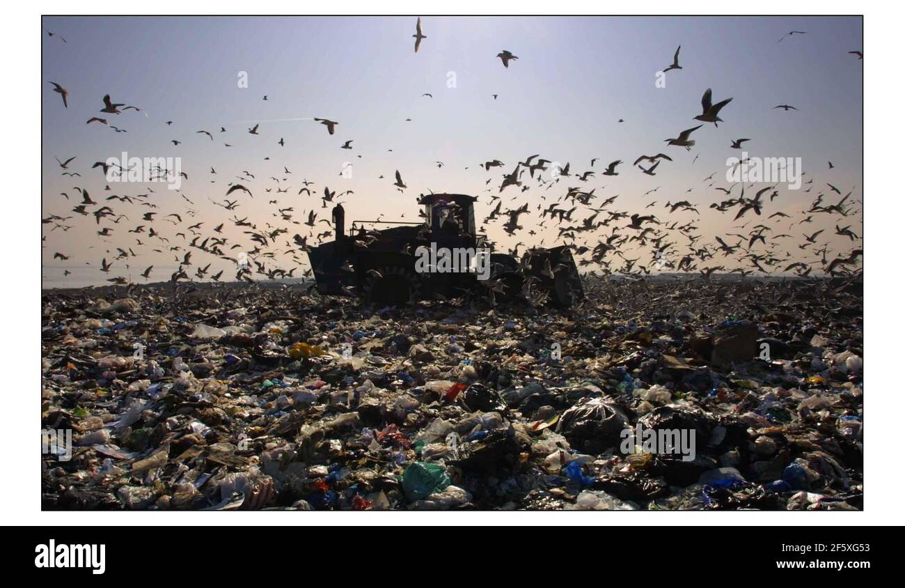 Mucking site Cut Out Stock Images & Pictures - Alamy