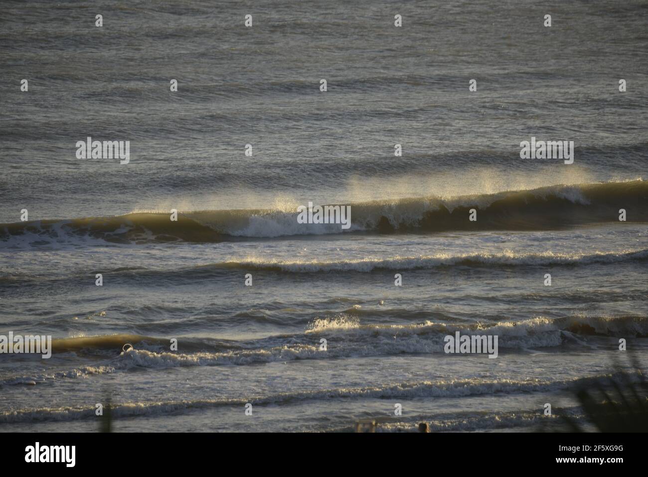 Beach and ocean waves on a Texas beach Stock Photo - Alamy