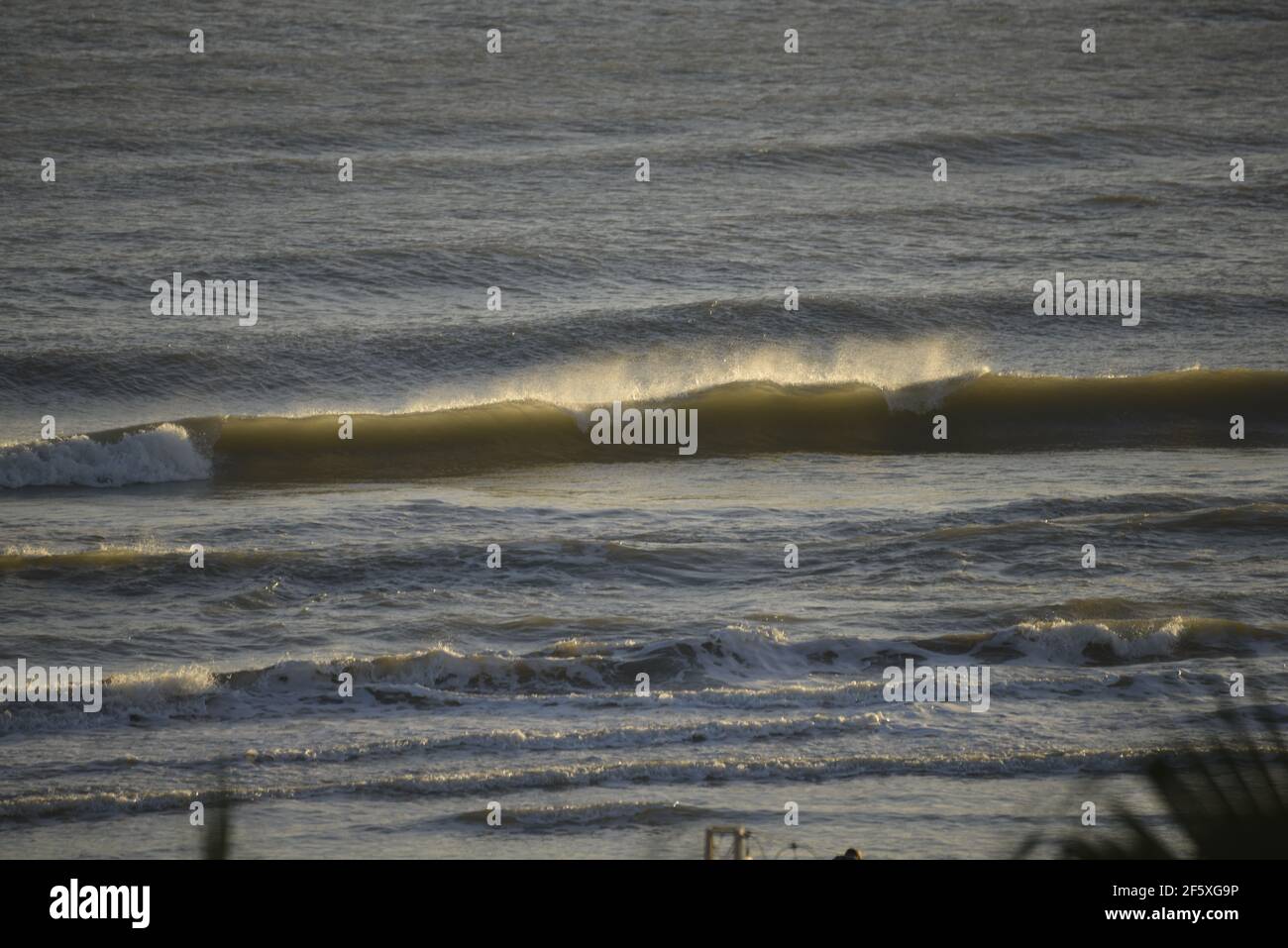 Beach and ocean waves on a Texas beach Stock Photo - Alamy