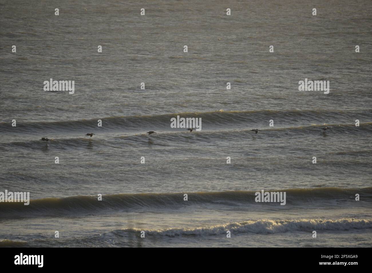 Beach and ocean waves on a Texas beach Stock Photo - Alamy