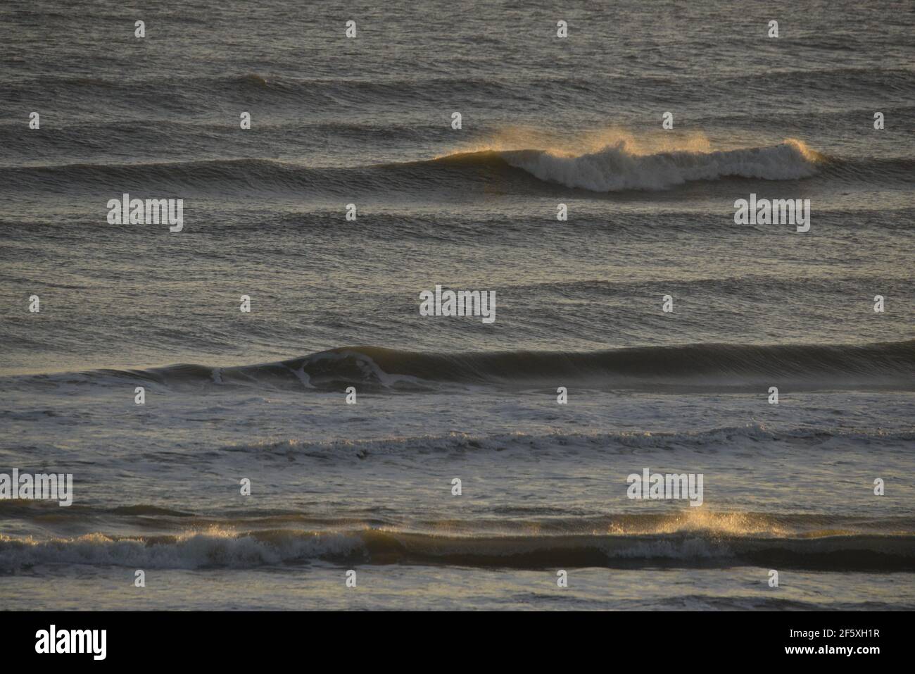Beach and ocean waves on a Texas beach Stock Photo - Alamy