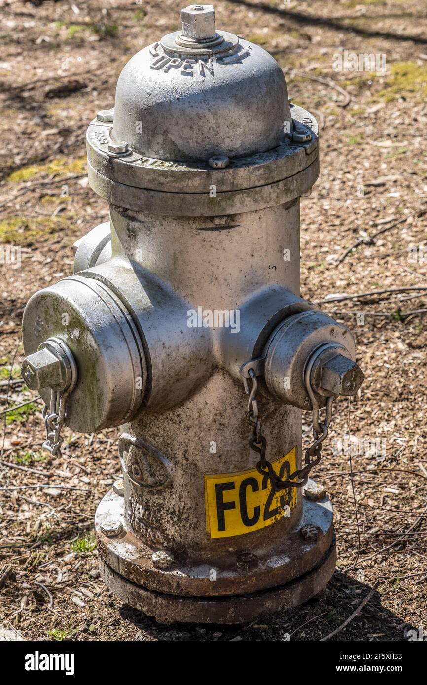 Silver fire hydrant hi-res stock photography and images - Alamy