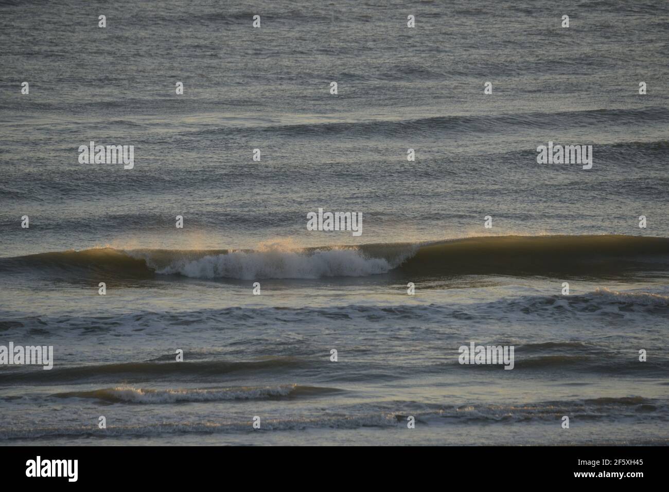 Beach and ocean waves on a Texas beach Stock Photo - Alamy