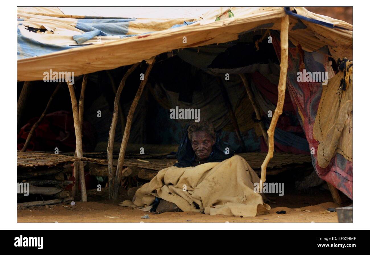 HUNGER CRISIS IN MAURITANIA See story McCARTHY. an old woman escapes ...