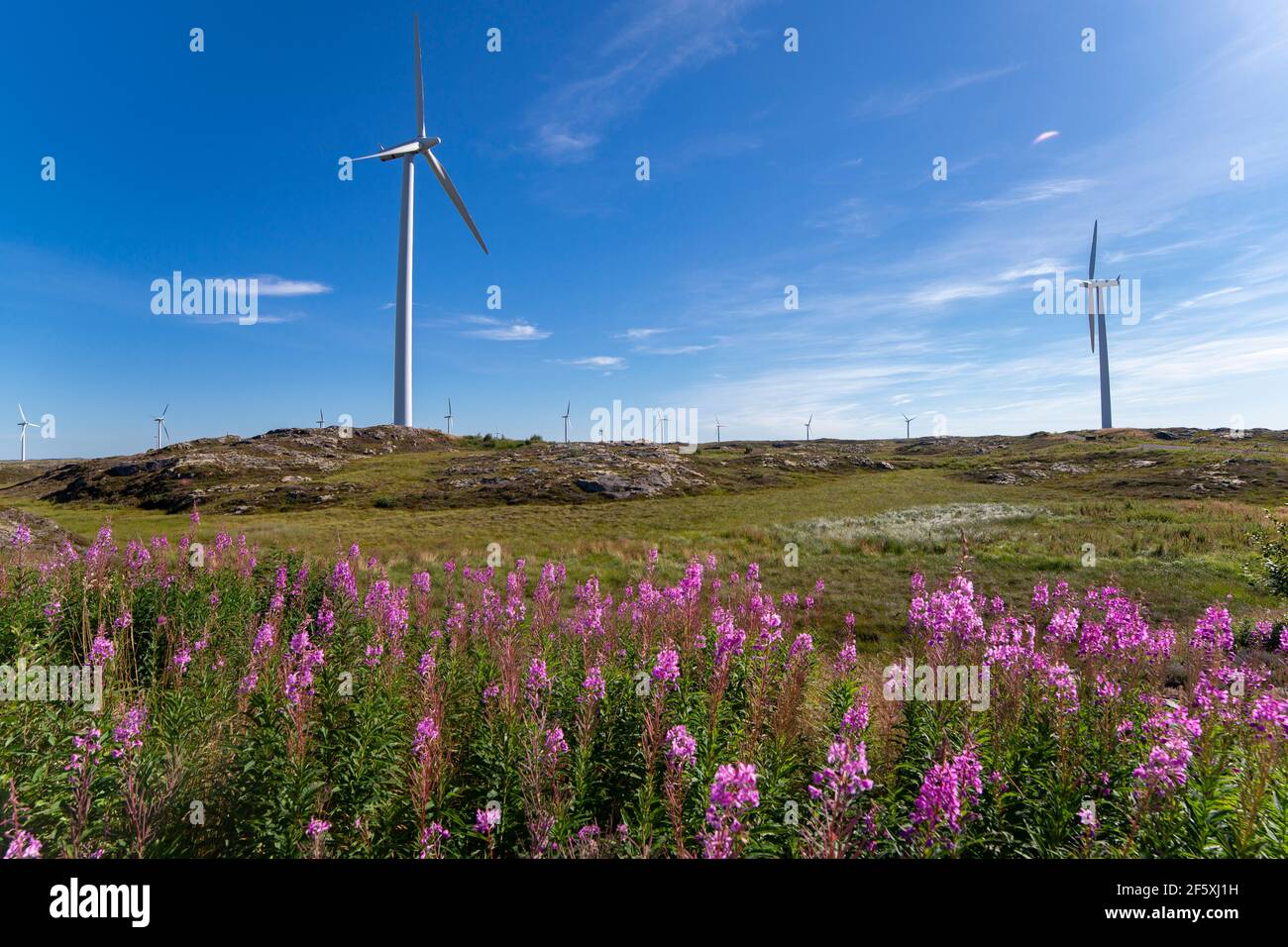 Renewable energy created by wind turbines in Norway are one part of the ...