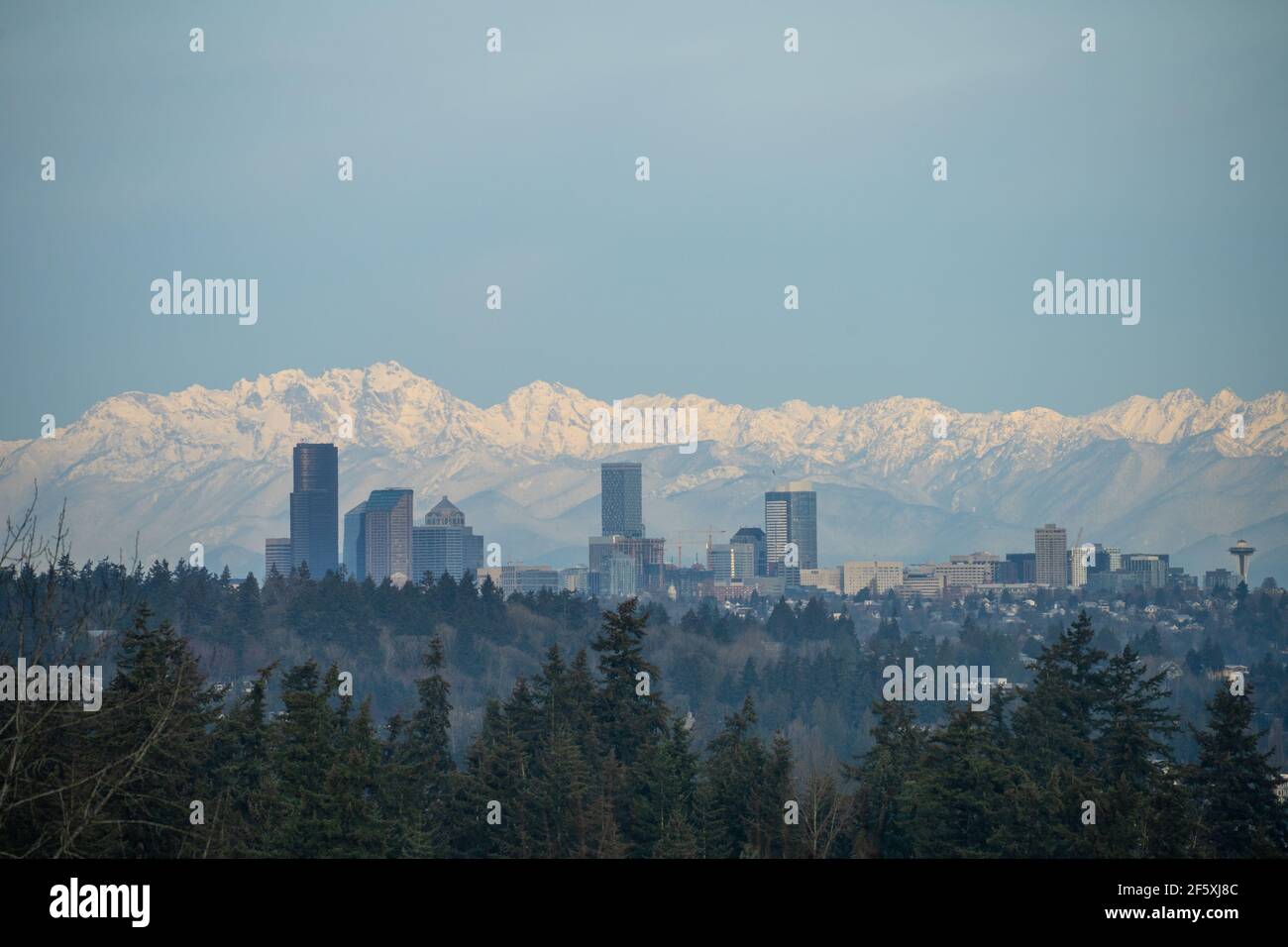 Seattle skyline with Olympic Mountains in a background in the morning ...