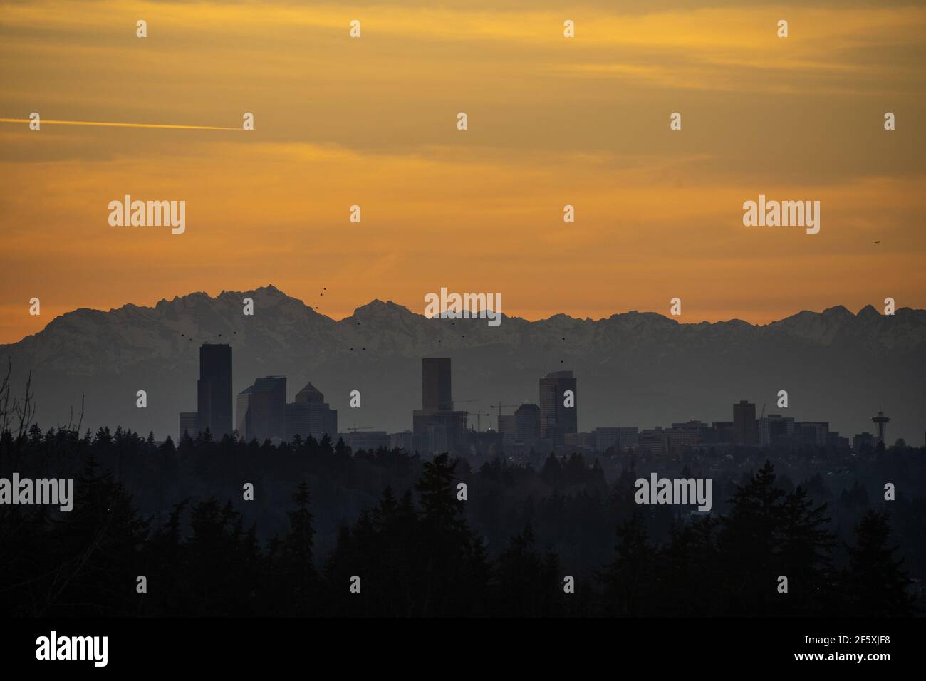 Sunset Seattle skyline view on sunny winter day Stock Photo - Alamy